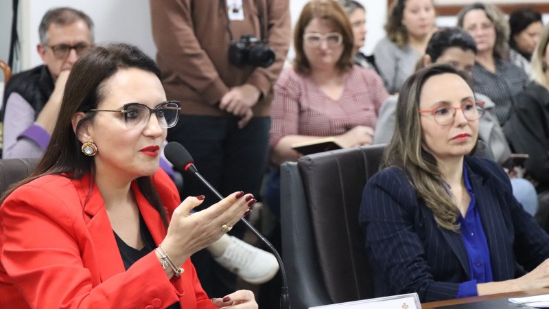 SES participa de audiência pública sobre Programa Assistir - Secretaria ...